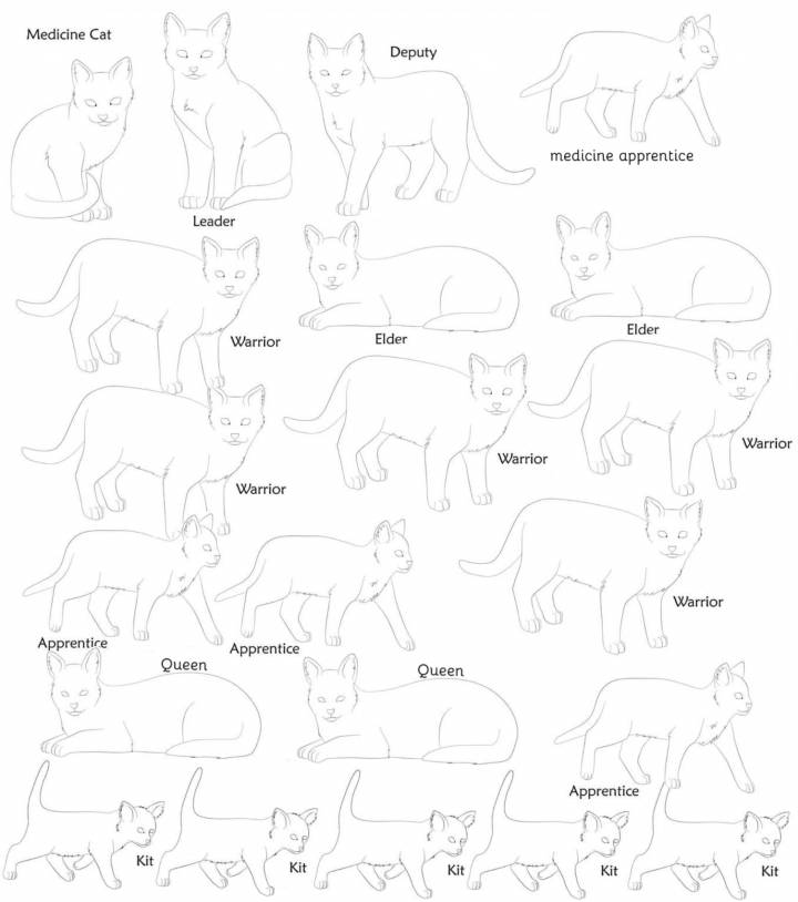 Warrior Cat Kits Lineart