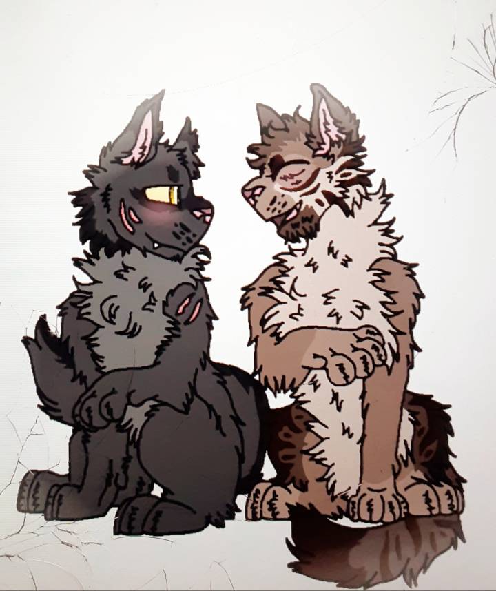 Warrior Cats Purdy