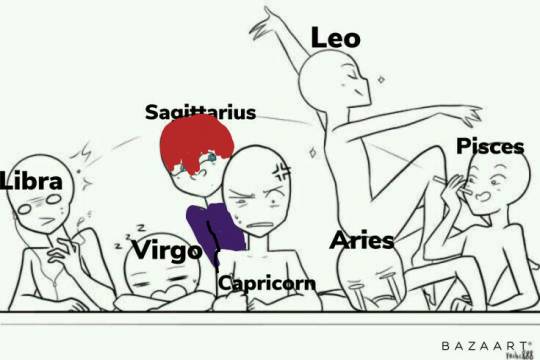 Zodiac collab - Sketchers United