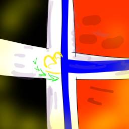 NorwayBall on Sketchers United