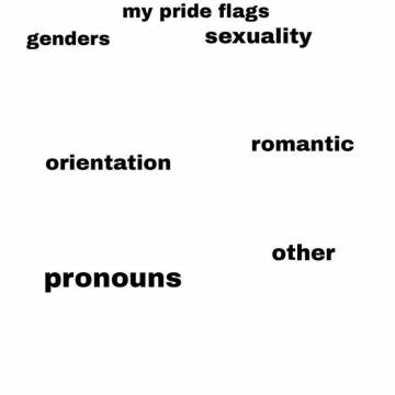 My Pride Flags Meme Template - Sketchers United
