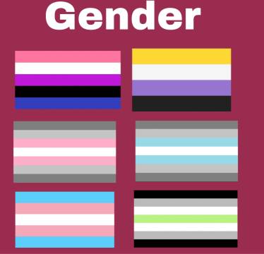 Gender Meme Template - Sketchers United