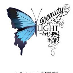 Emily24 on Sketchers United