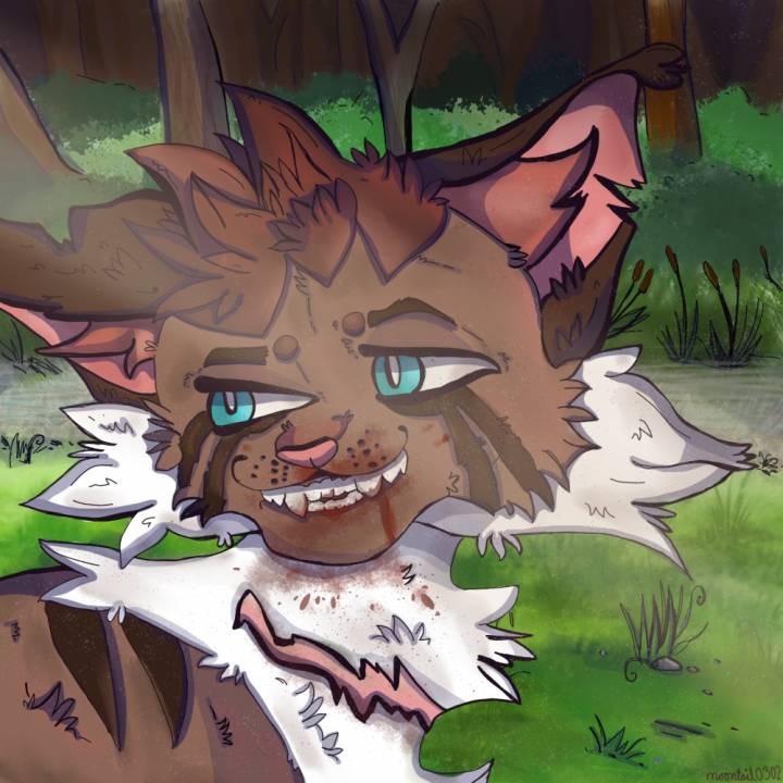 Drawings Of Warrior Cat Hawkfrost