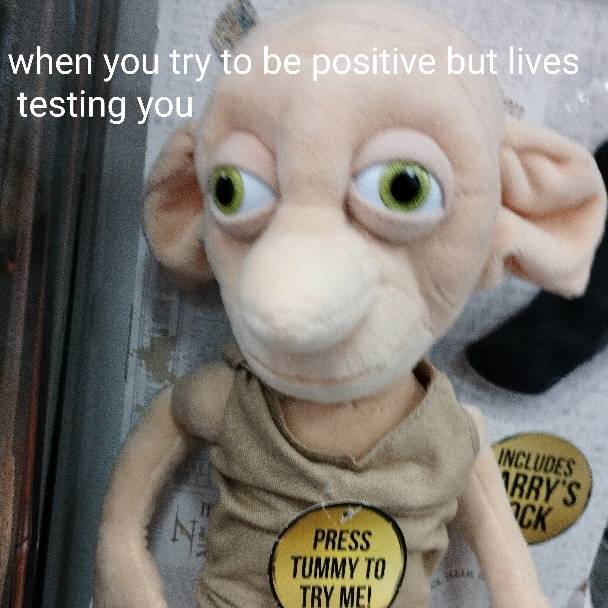 Dobby Meme
