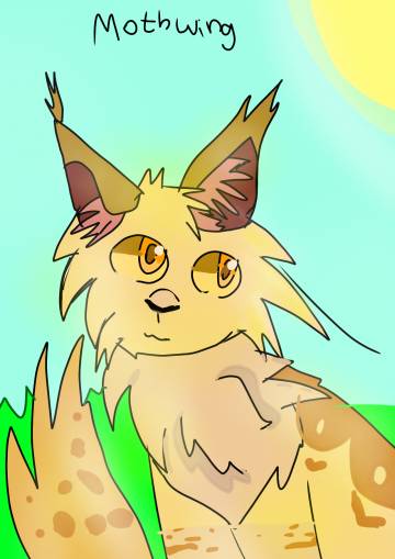Warrior Cats Mothwing