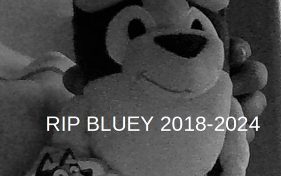RIP BLUEY - Sketchers United