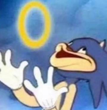 sonic ring(loop) - Sketchers United