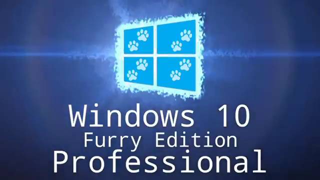 Windows 10 Furry edition Professinal by GarryxTheFox on Sketchers United