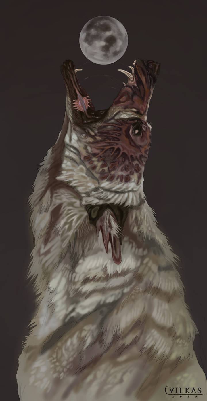 Catching the Moon by Vilkas on Sketchers United