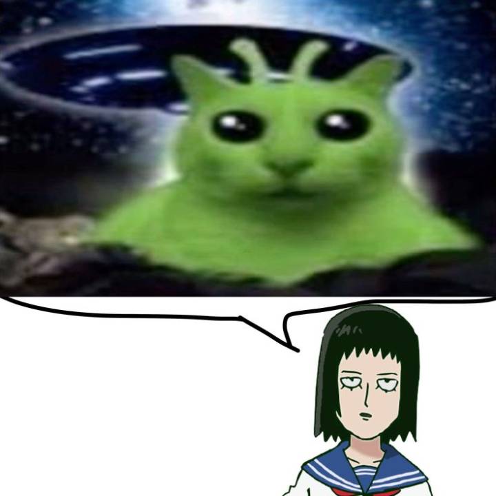 hfbg by alxft on Sketchers United