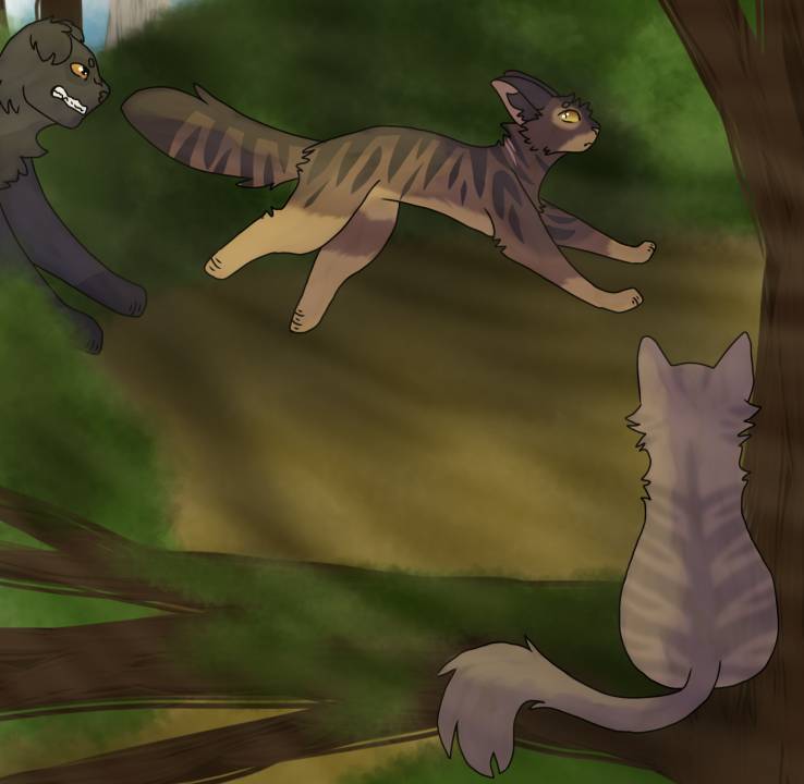 Warrior Cats Purdy