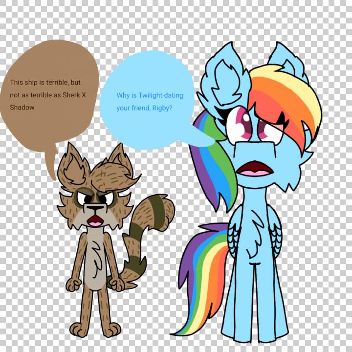 Shadow And Rainbow Dash