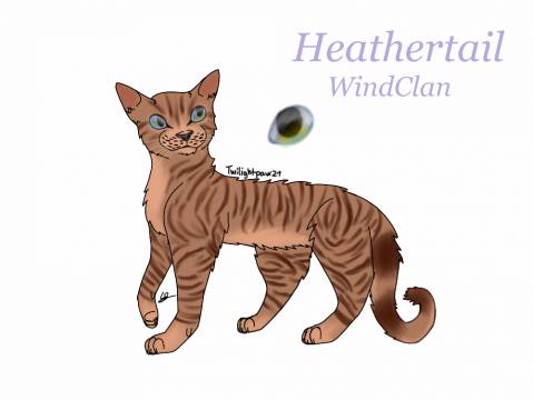 Warrior Cats Heathertail