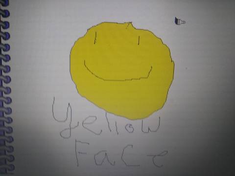 Bfdi Yellow Face